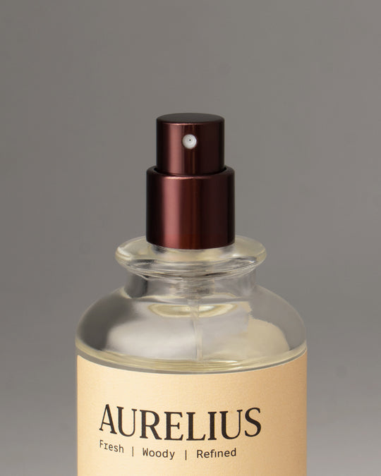 Perfume Collection – The Man